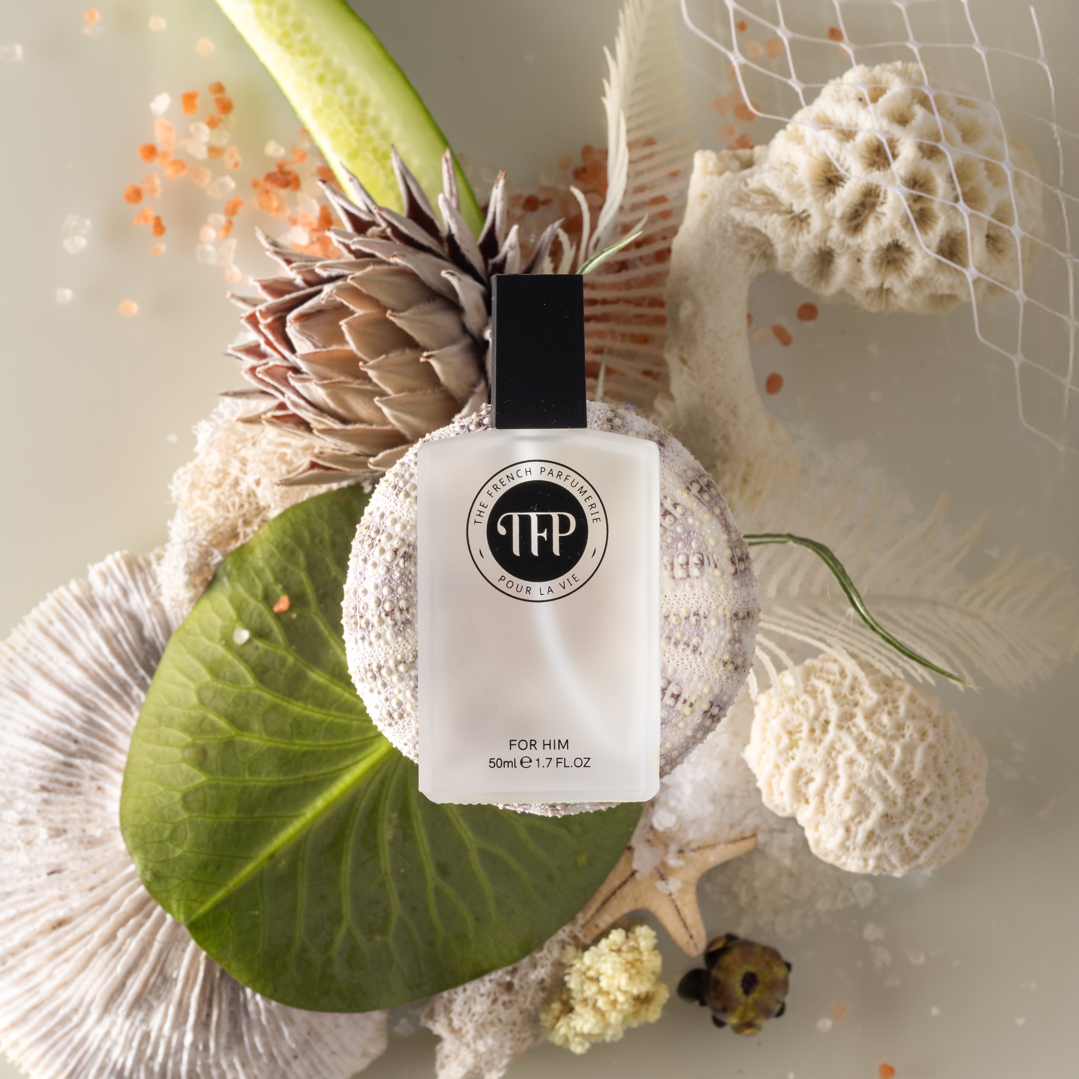 No. 41 FOR HIM (Similar to Invictus) – The French Parfumerie